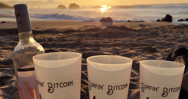 Surfin' Bitcoin 2021 - bitcoin.fr