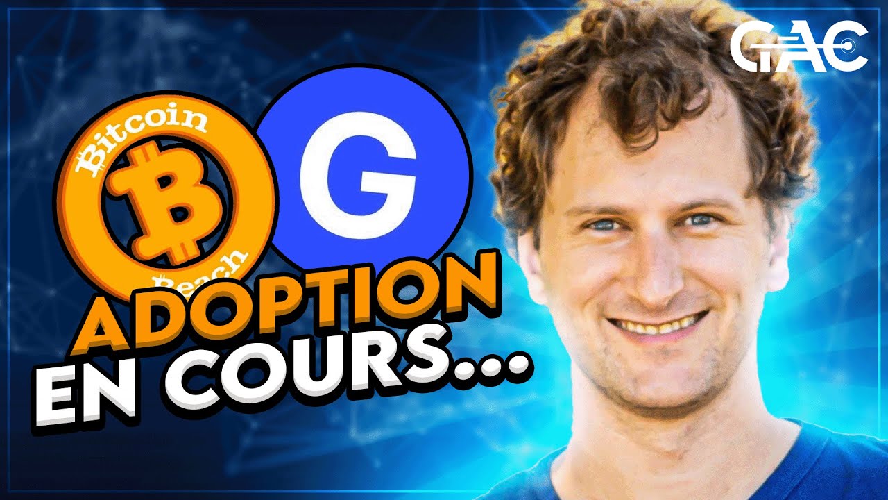 Grand Angle Crypto : Entretien avec Nicolas Burtey - bitcoin.fr